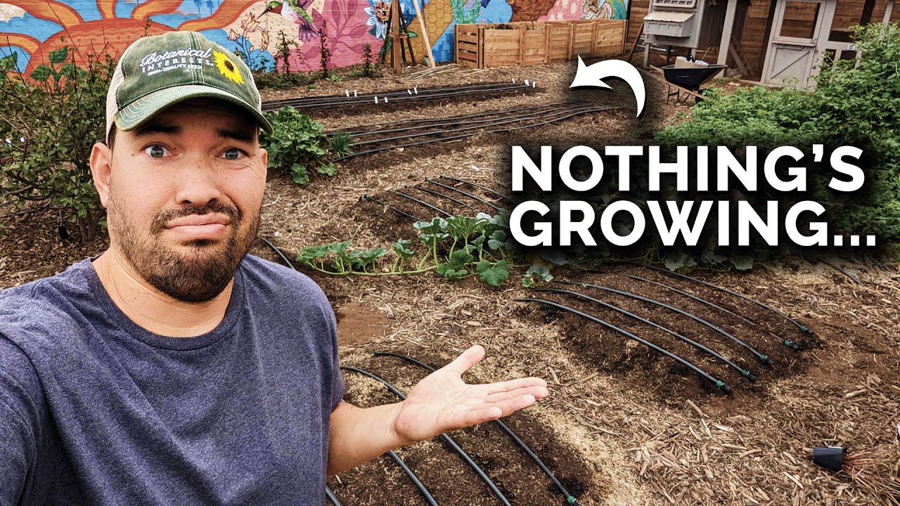 My Garden Is Almost Empty... - YouTube