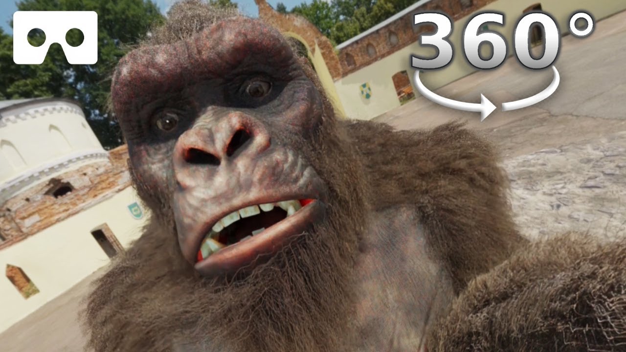 360° VR - Large Donkey Picks You Up - YouTube