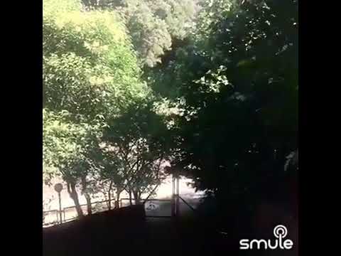 Al hançeri vur bağrıma..o.gencebay—osman kenarda