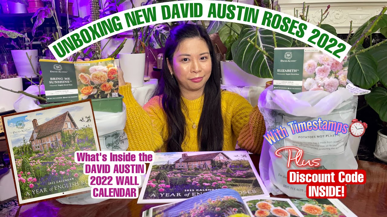 NEW 2022 David Austin Roses UK Unboxing | Elizabeth | Bring Me Sunshine ...