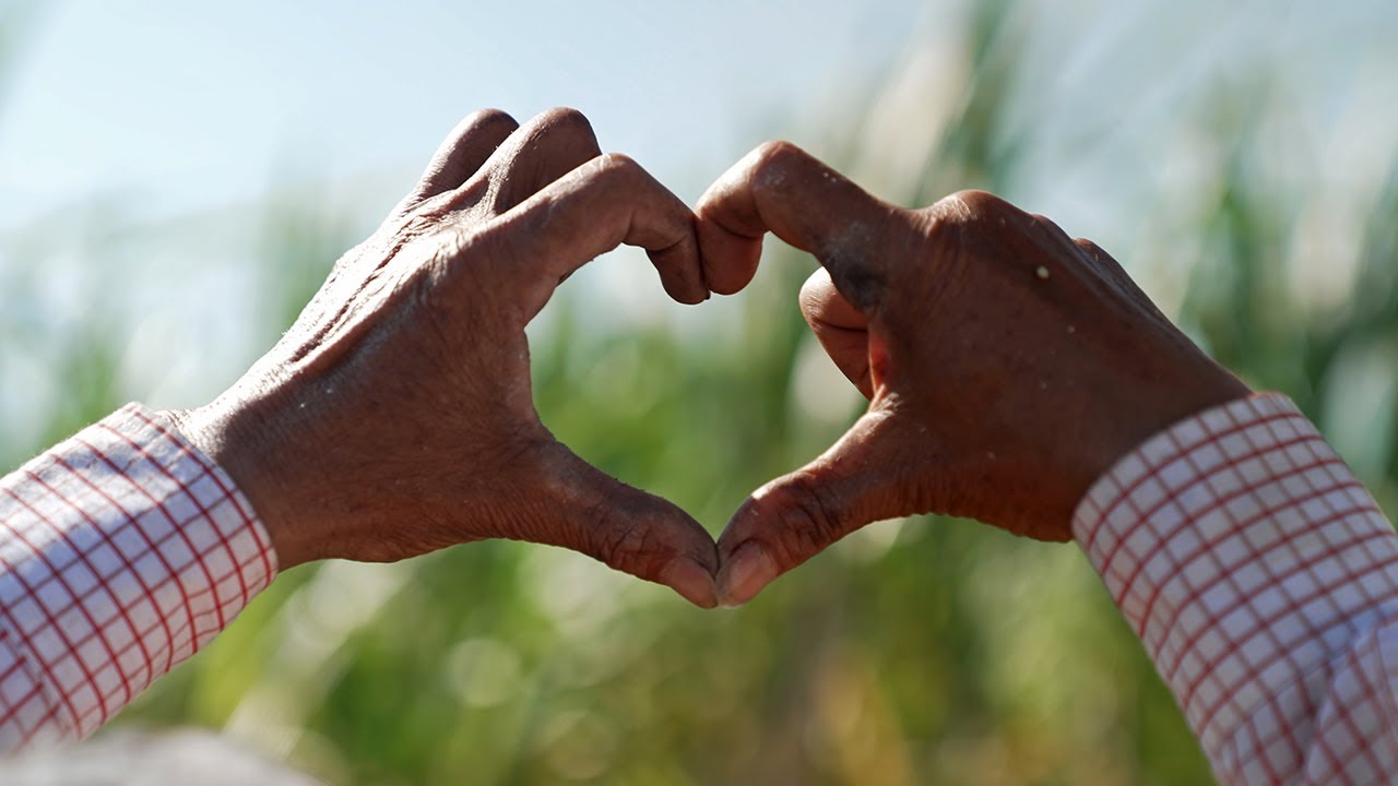 All the Best for All. That's Wholesome. - YouTube