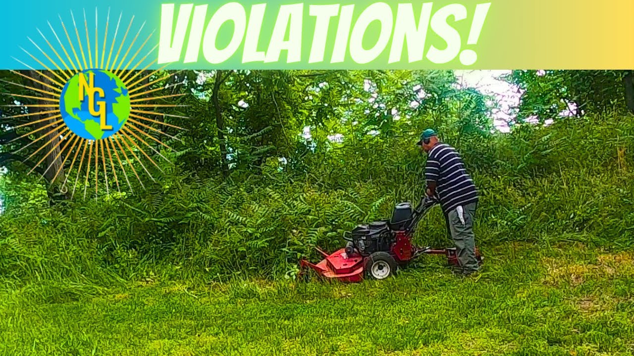 Senior Citizen is about to get a fine! Grass is overgrown and house ...