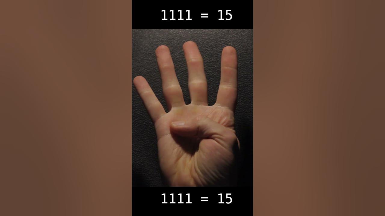 How To Count In Binary On Your Fingers Youtube
