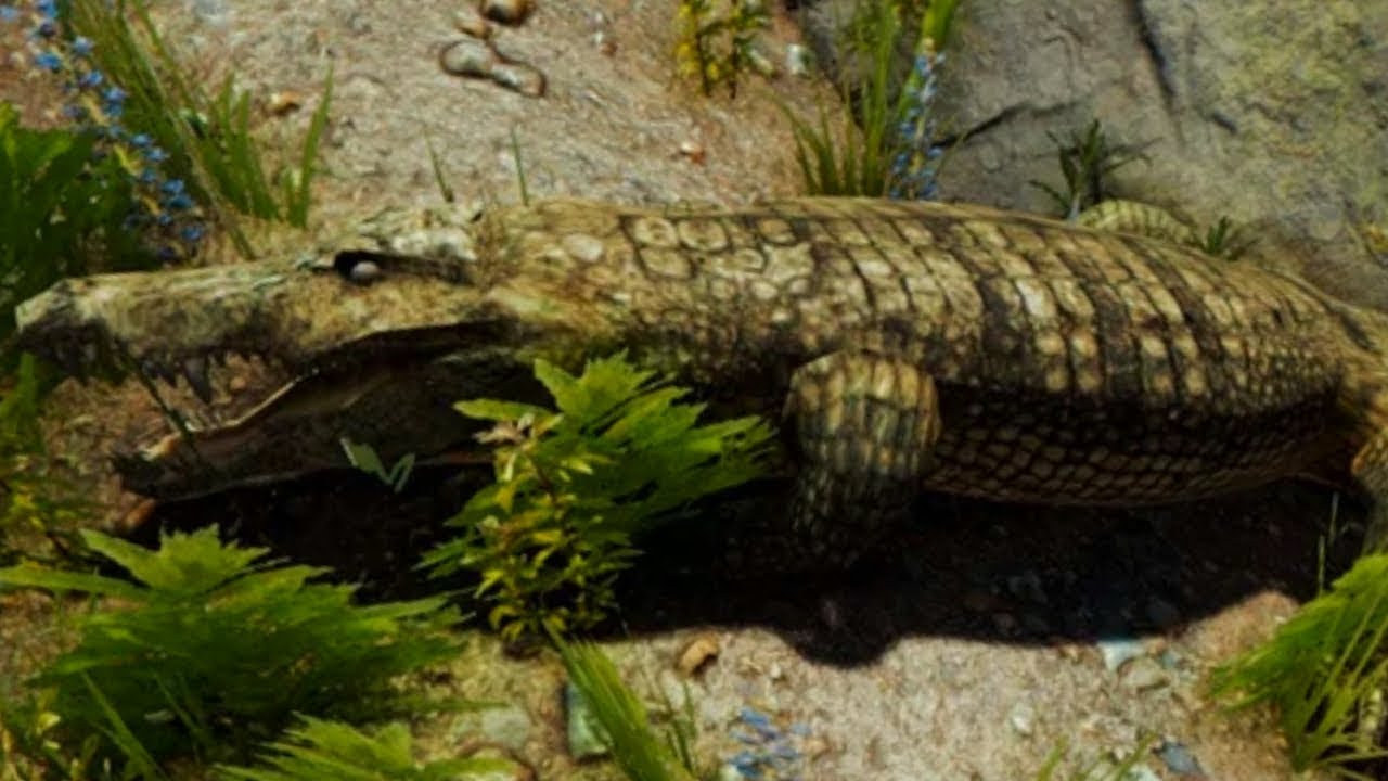 The Forest - CROCODILE ENCOUNTER (LOCATION) - YouTube