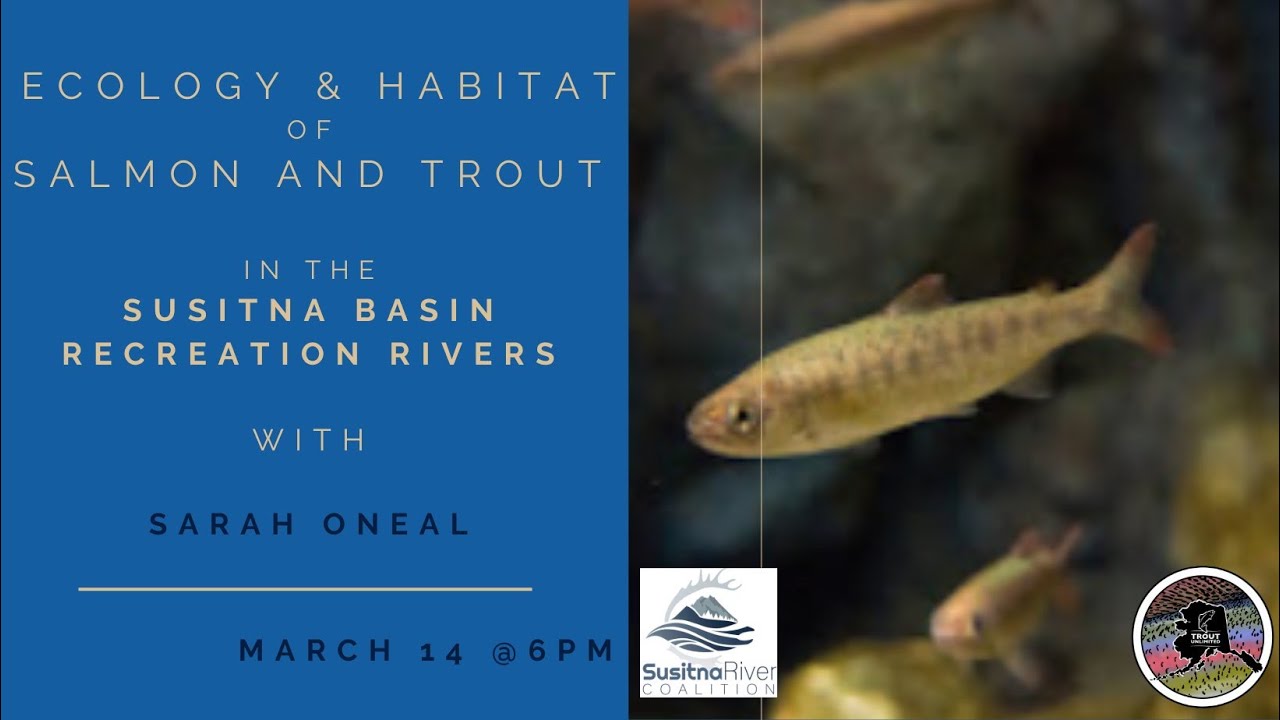 Ecology and Habitat of Salmon and Trout in the Susitna Basin Recreation ...