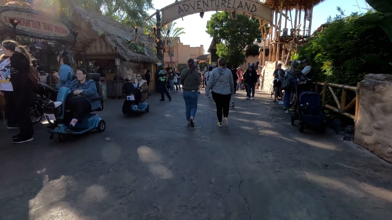 Walt Disney's Enchanted Tiki Room | Walking With The Mouse | 11/16/22 ...