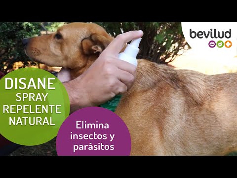 Disane - Spray Repelente Natural para Perros 🦮