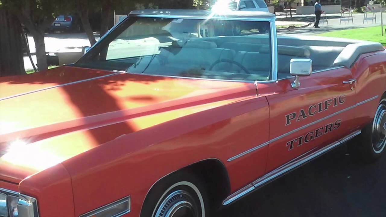 cheiko thurman - YouTube