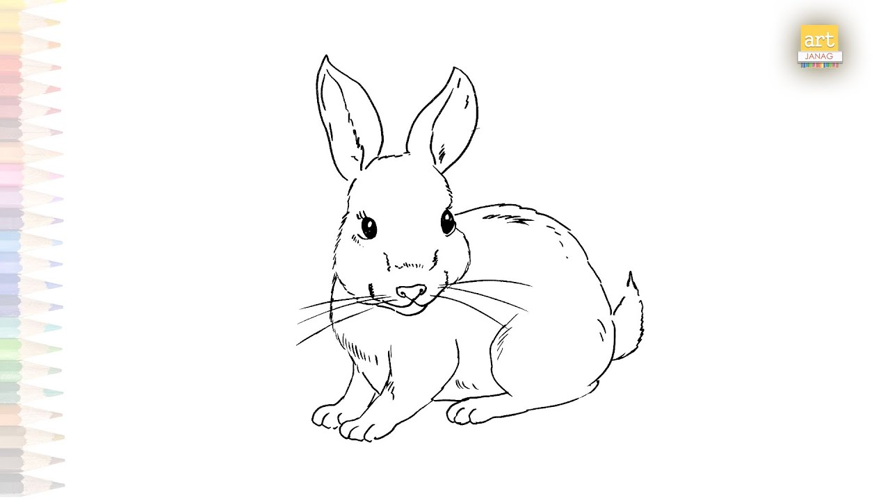 Rabbit Drawings | Easy rabbits drawing | How to draw A Rabbit step by ...