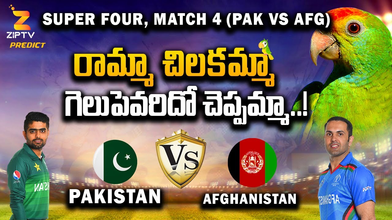 SUPER 4 | PAKISTAN vs AFGANISTAN | Parrot Prediction | Chilaka Joshyam ...