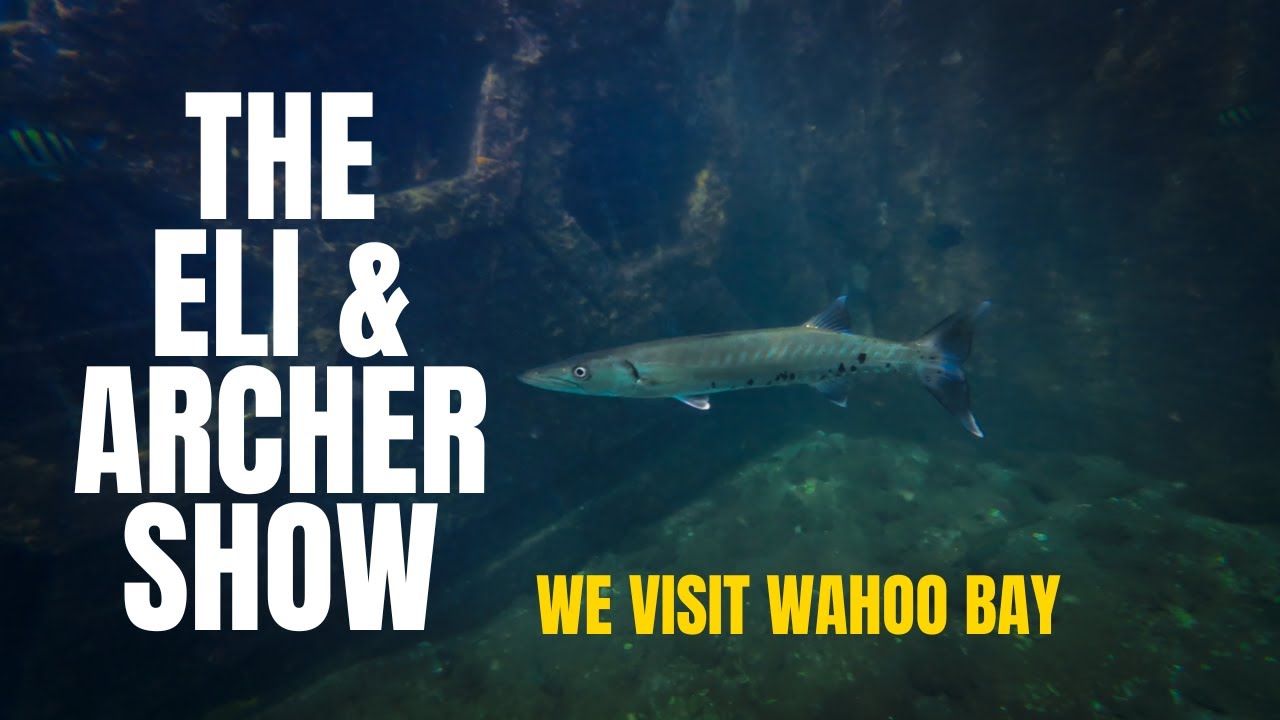 Wahoo Bay Underwater Spectacle: Eli & Archer Dive into Pompano Beach’s ...