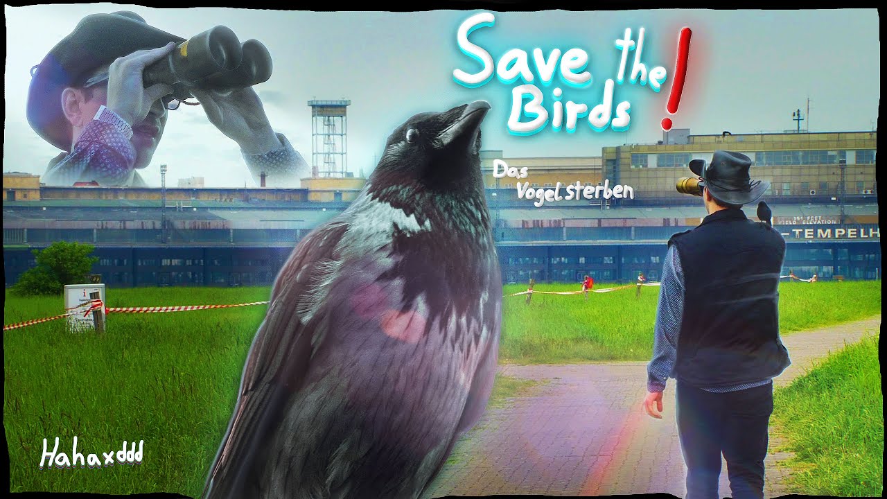 Ein Vogel für Vögel | Die Welt der Berliner Vögel | Inspiriert durch # ...