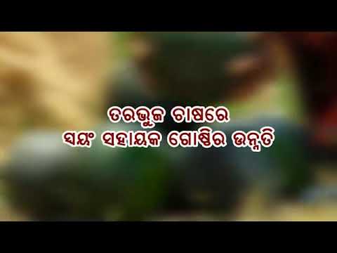 Success story of shg group - YouTube