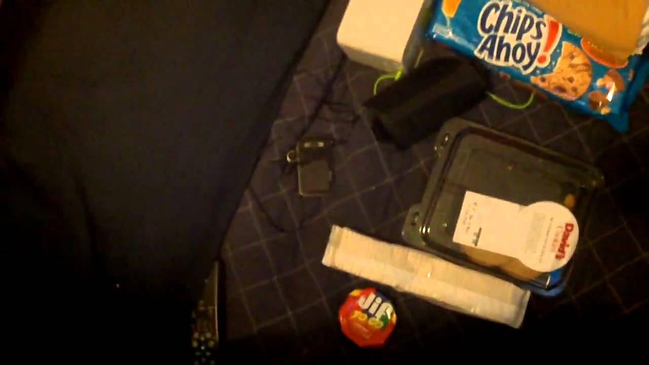 Unconstitutional Injustices Act by Reece, Connor, and Wyatt. Connor and ...