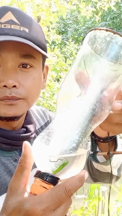 CARA MUDAH UNIK MANCING IKAN BELANAK PAKAI BOTOL BEKAS #shorts - YouTube