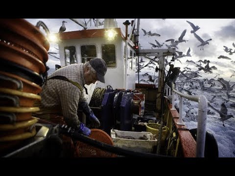 ‘The sea is a GRAVEYARD’ Foreign fishermen investigated for ...