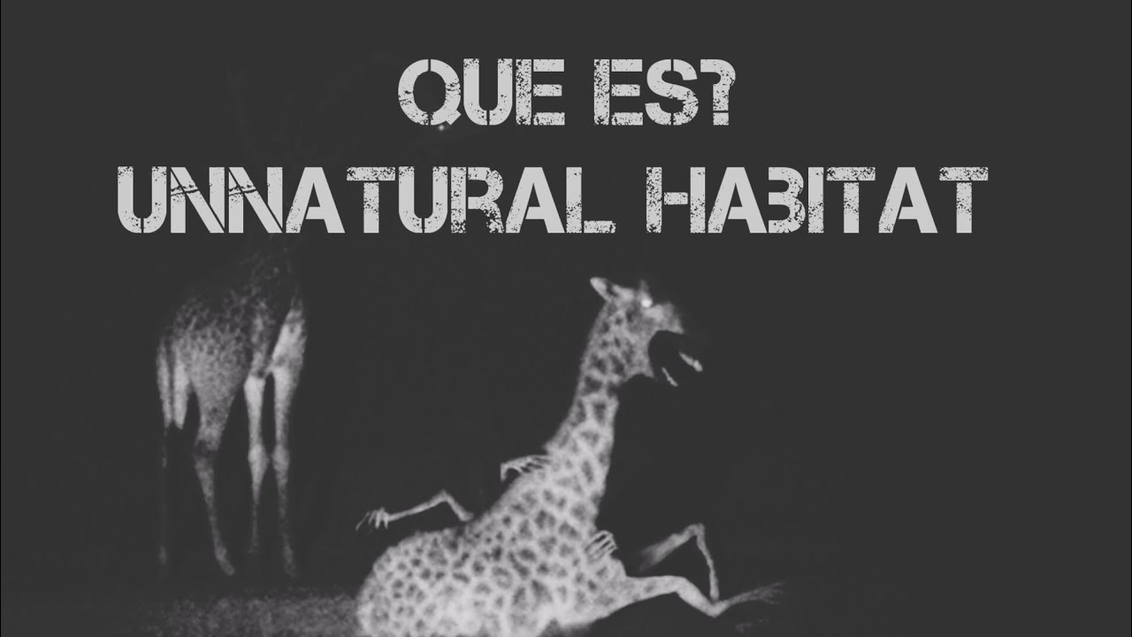 que es? unnatural habitat - YouTube