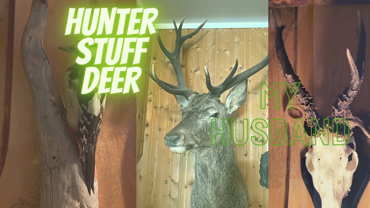 Hunter-Stuff-Deer - YouTube