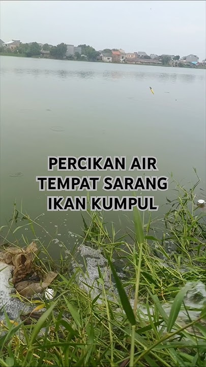 mancing ikan tepat di sarang ikan umpan baru turun langsung di makan #fishing #microfhising ...
