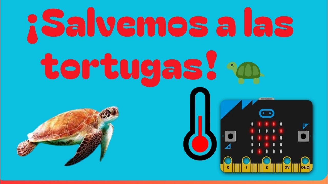 Manos a la Micro:Bit: Proyecto simulado Salvando Tortugas 🐢 - YouTube