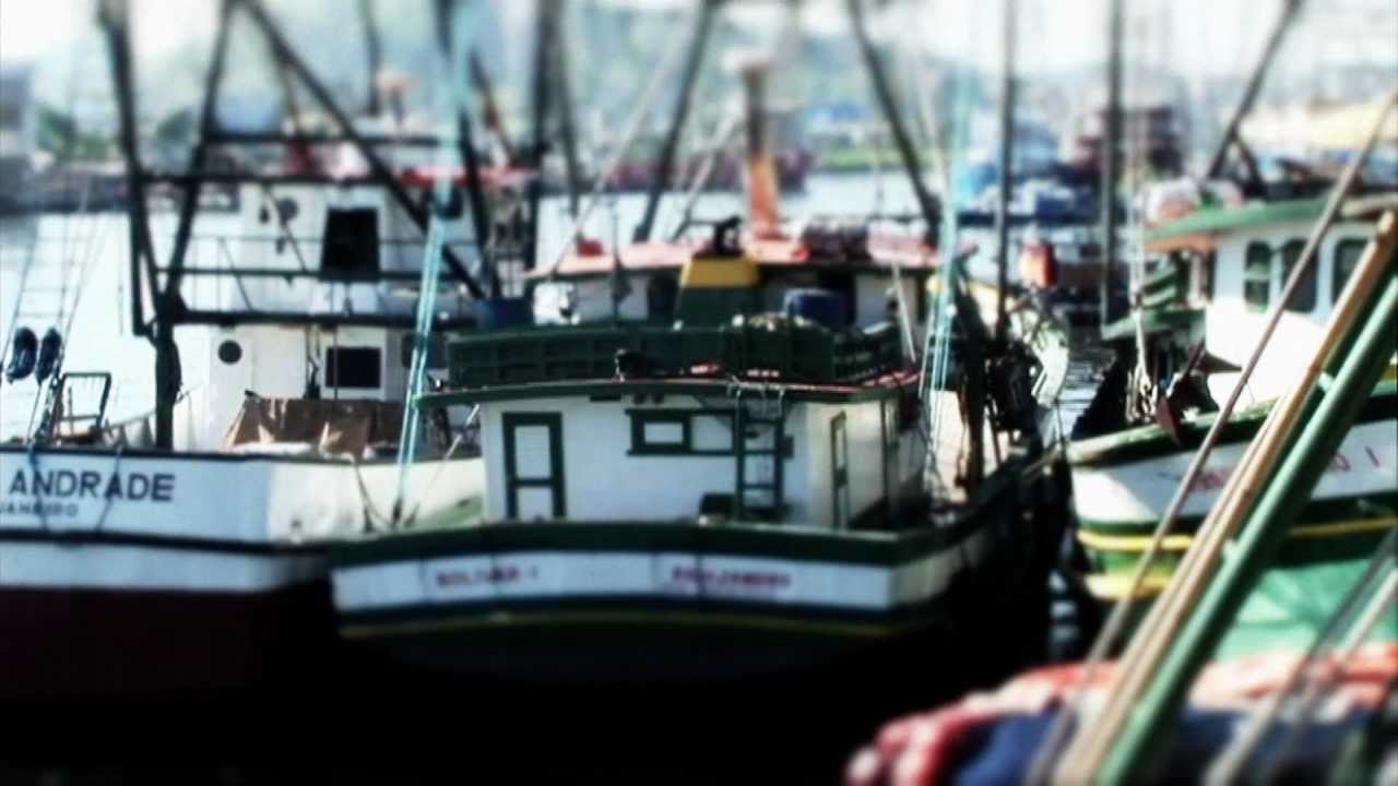 Trechos do Documentário sobre Pesca Industrial - YouTube