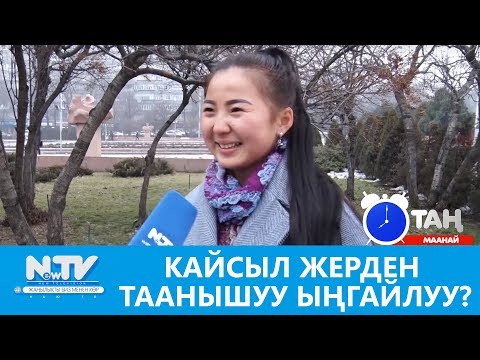 Кайсыл жерден таанышуу ыңгайлуу? Таң маанай