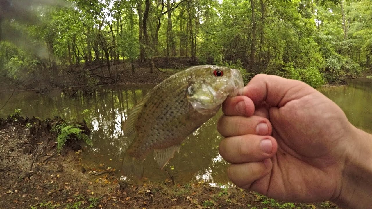 Tips and tricks to catch more panfish - YouTube