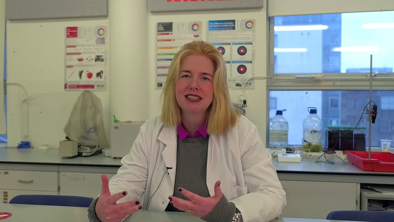 Intro to Kelly's Kitchen Science - YouTube