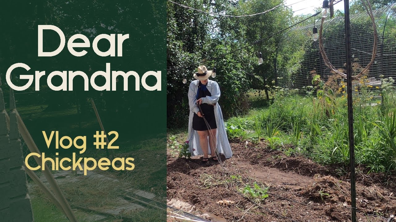 #2-Weeding, Harvesting Chickpeas, and moving the garden bed. - YouTube