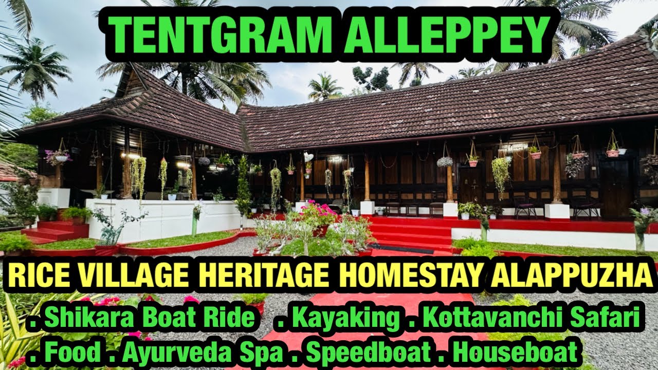 A Day In Tentgram Alleppey Heritage Resort with kayaking&shikara | Rice ...