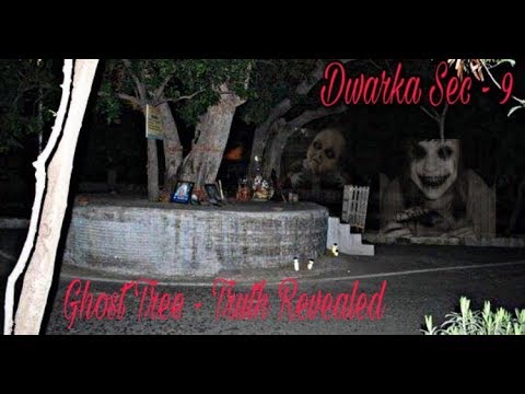 A Night Stay At Dwarka Sec 9 Ghost Tree..! Do We Really Found Something ...