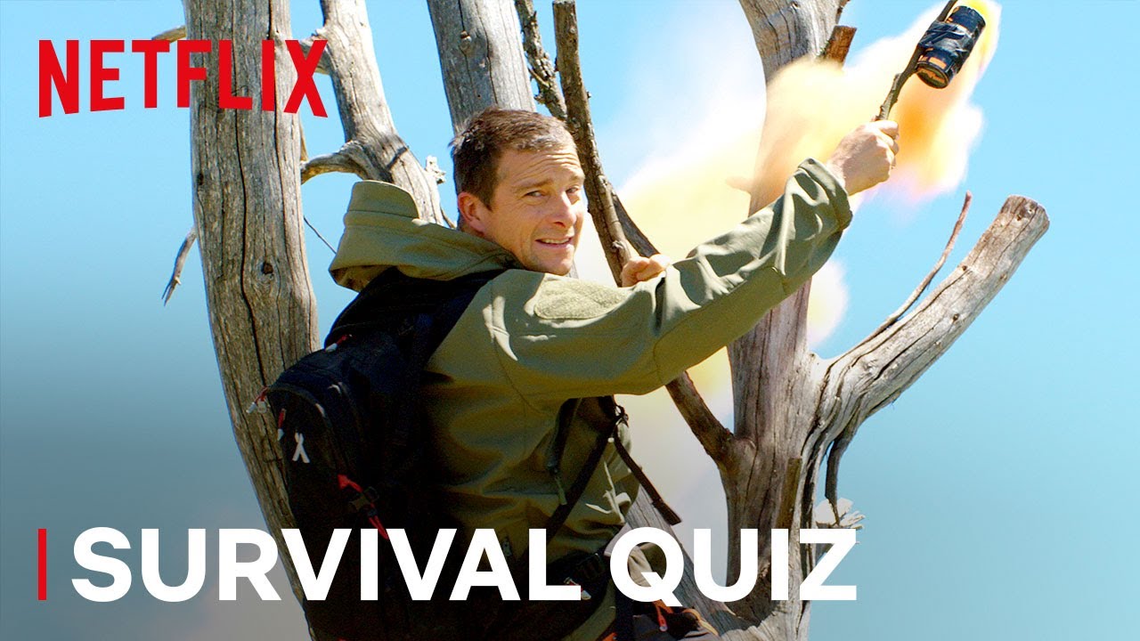 Animals on the Loose Survival Quiz | Netflix After School - YouTube