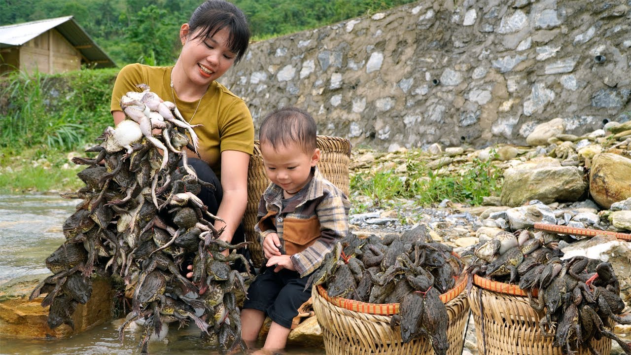Harvesting & Find Frogs Go to the market to sell - Live with nature ...