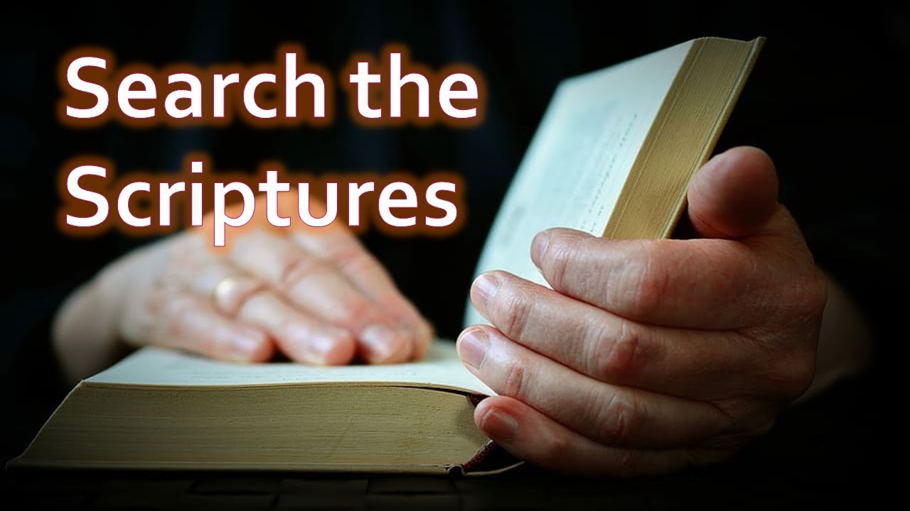 Search The Scriptures - YouTube