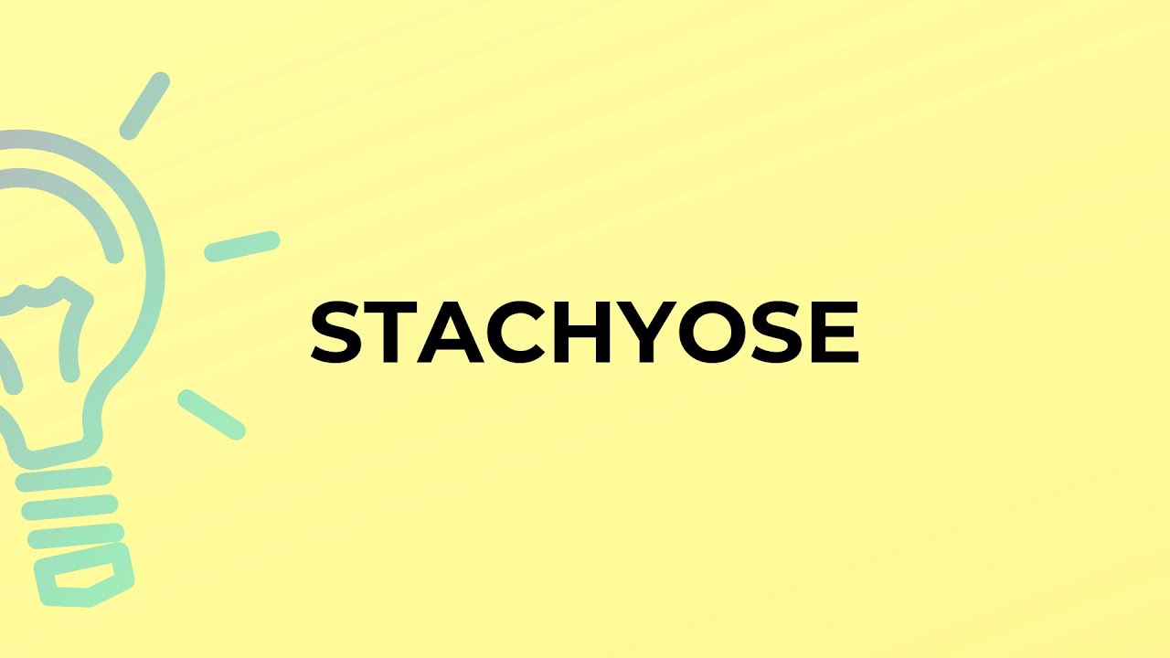 What is the meaning of the word STACHYOSE? - YouTube