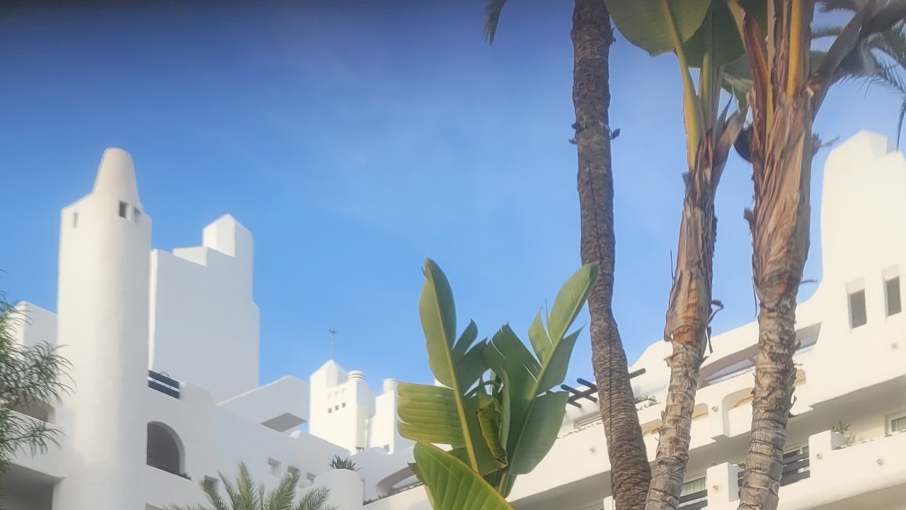 Diffusion en direct de mickareadim - YouTube