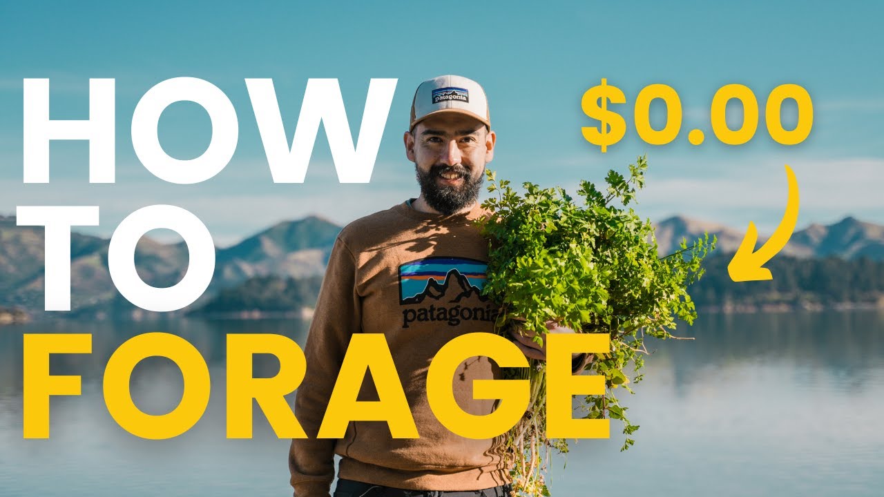 How to Forage in New Zealand - YouTube