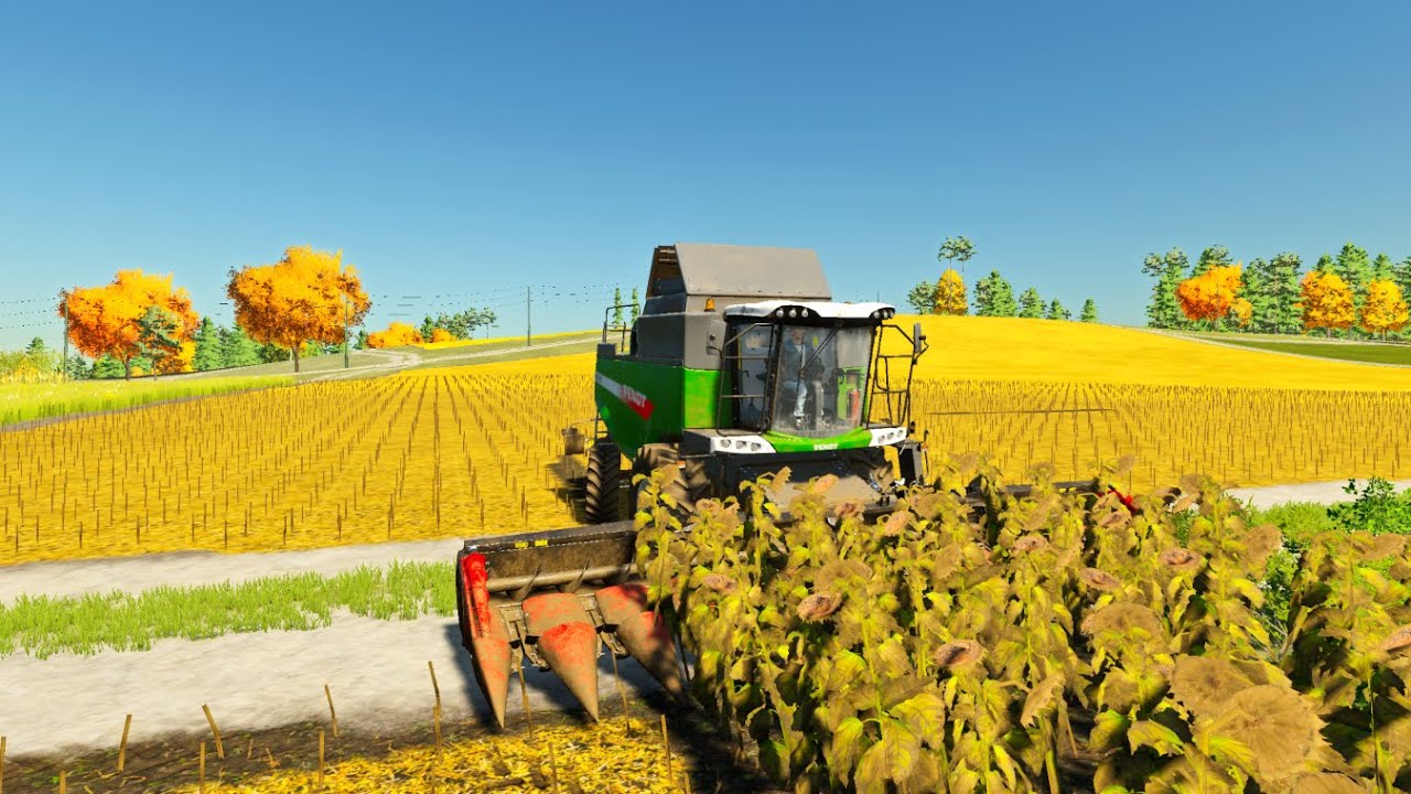 FS22 SUNFLOWER AND SORGUMS HARVEST EASTER NORTH CAROLINA FARM - YouTube