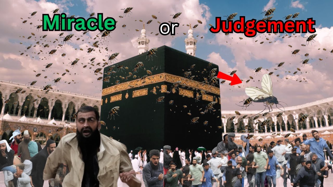 WEIRD INSECTS INVADE KAABA IN MECCA AND TERRIFY MUSLIMS! MIRACLE OR ...