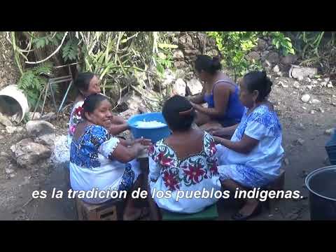 MINI DOCUMENTAL FIESTA TRADICIONAL - ICHMUL YUCATÁN