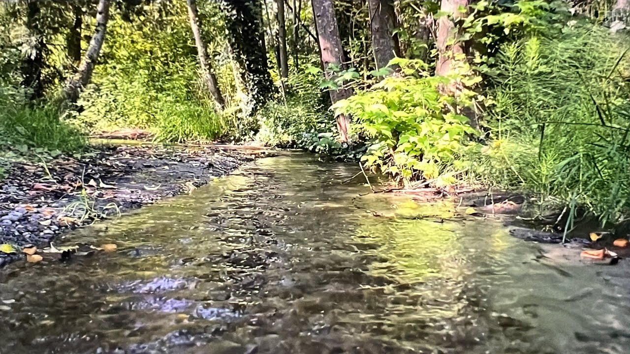 Calming nature ambience, Water flowing sound effect, Relaxing water ...