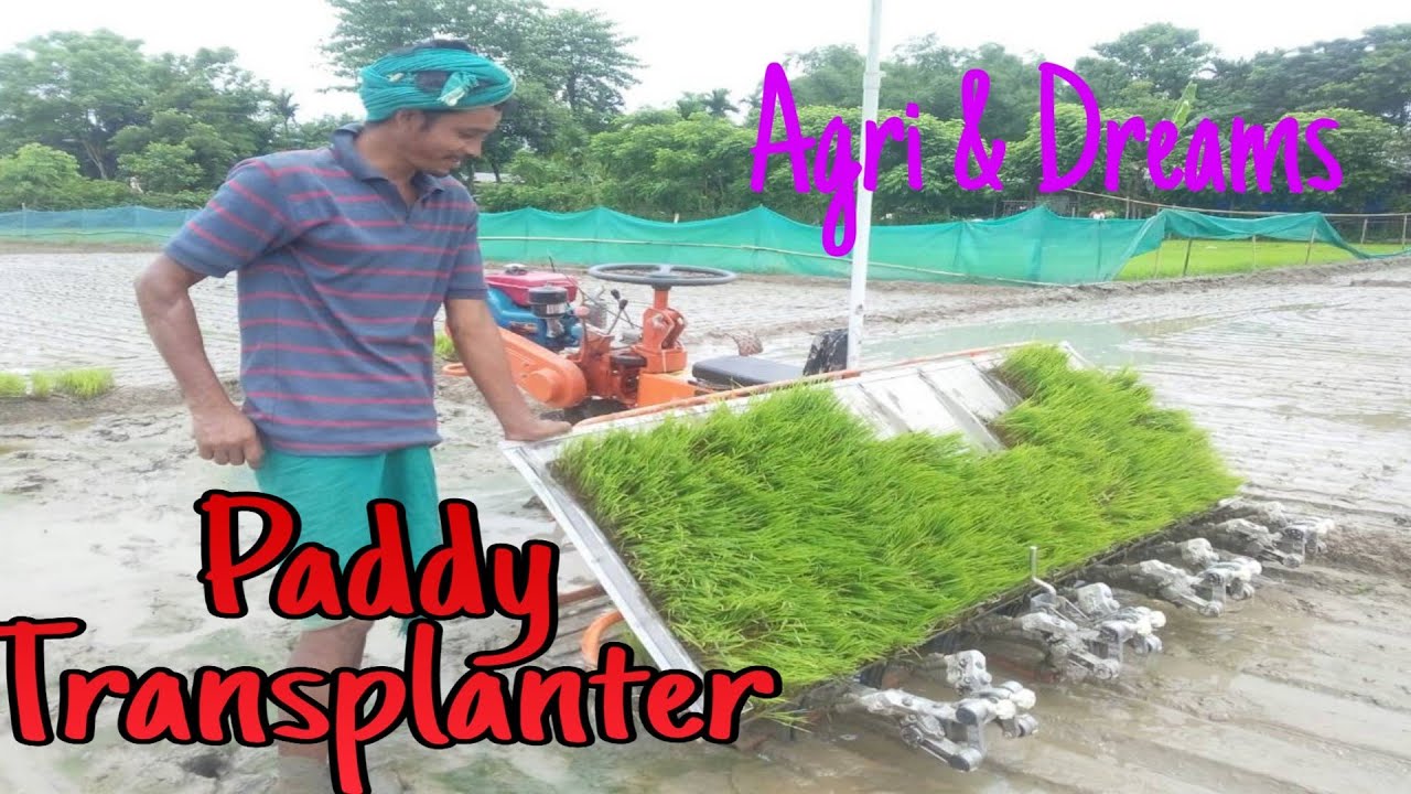 Paddy Transplanter - YouTube