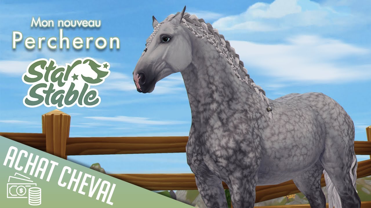 ACHAT DU PERCHERON GRIS | Star Stable - SSO - YouTube