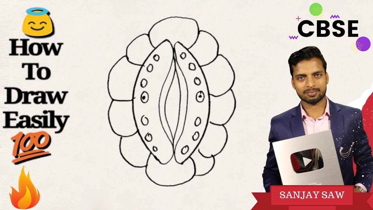 How to draw stomata step by step in easy way ! - YouTube