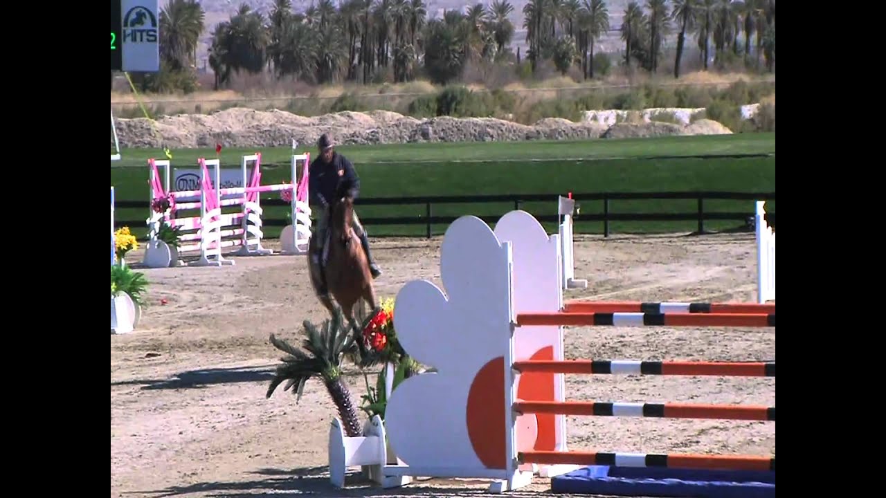 HORSE FOR SALE: Opulence - Hap Hansen Stables - YouTube
