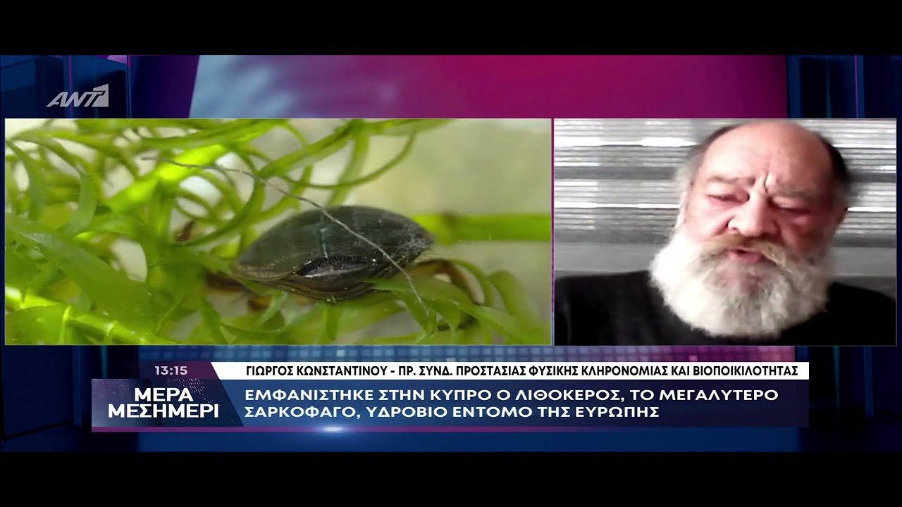 Λιθόκερος – ANT1 TV – Μέρα Μεσημέρι - Με τον Γιώργο Κωνσταντίνου – 20/3 ...