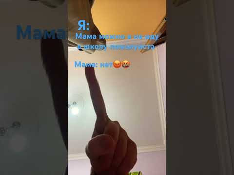 28 декабря 2025 г.