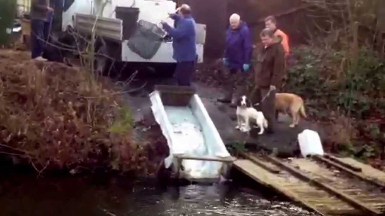 Just a wee stocking at Raith Lake Kirkcaldy - YouTube