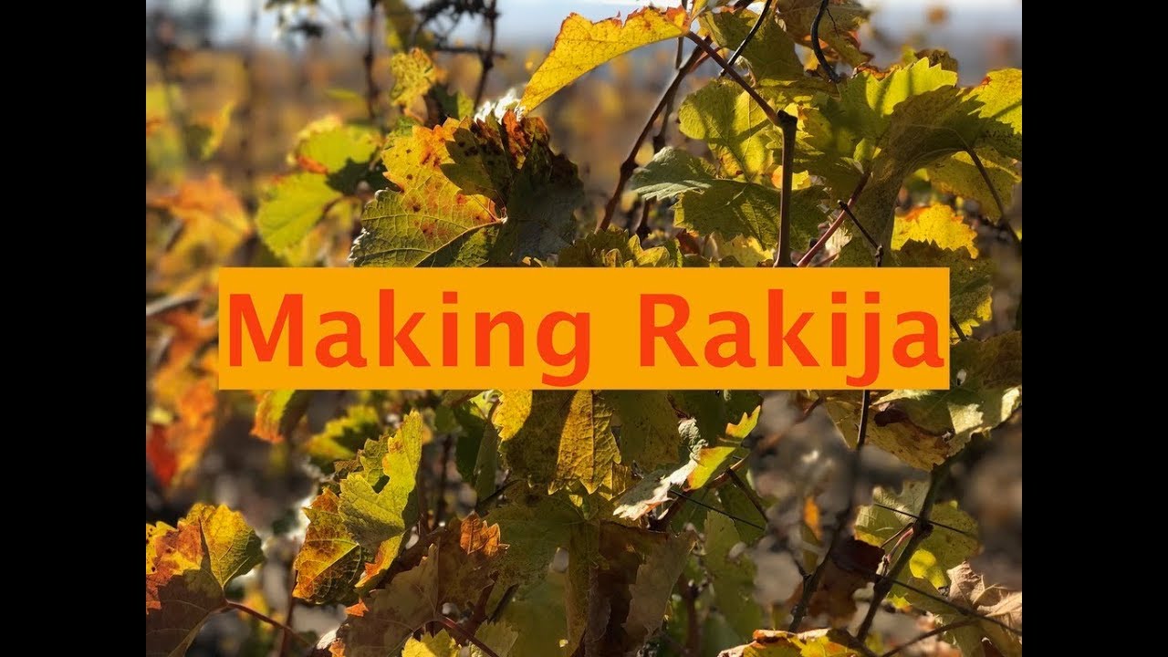 Making Rakija - YouTube