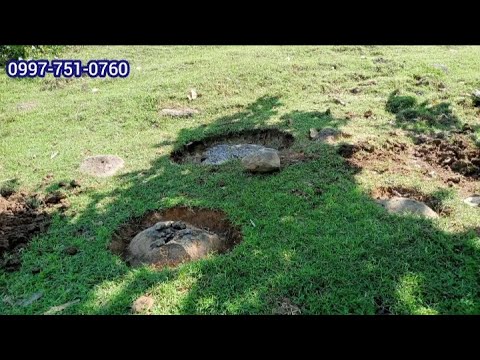 Japanese Treasure Circular And Turtle Pattern Team Brandi Remapping - YouTube